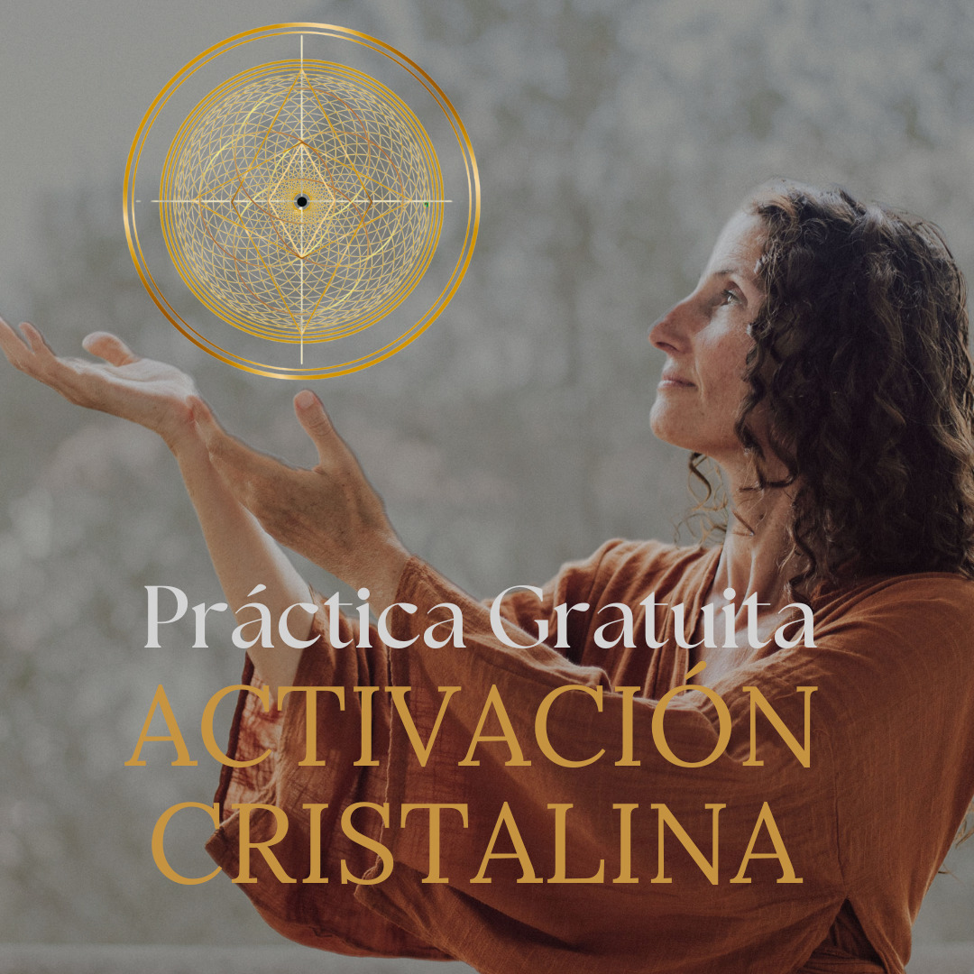 TOROIDE 🍩 Que es y como dibujarlo, usos y beneficios | Mowna